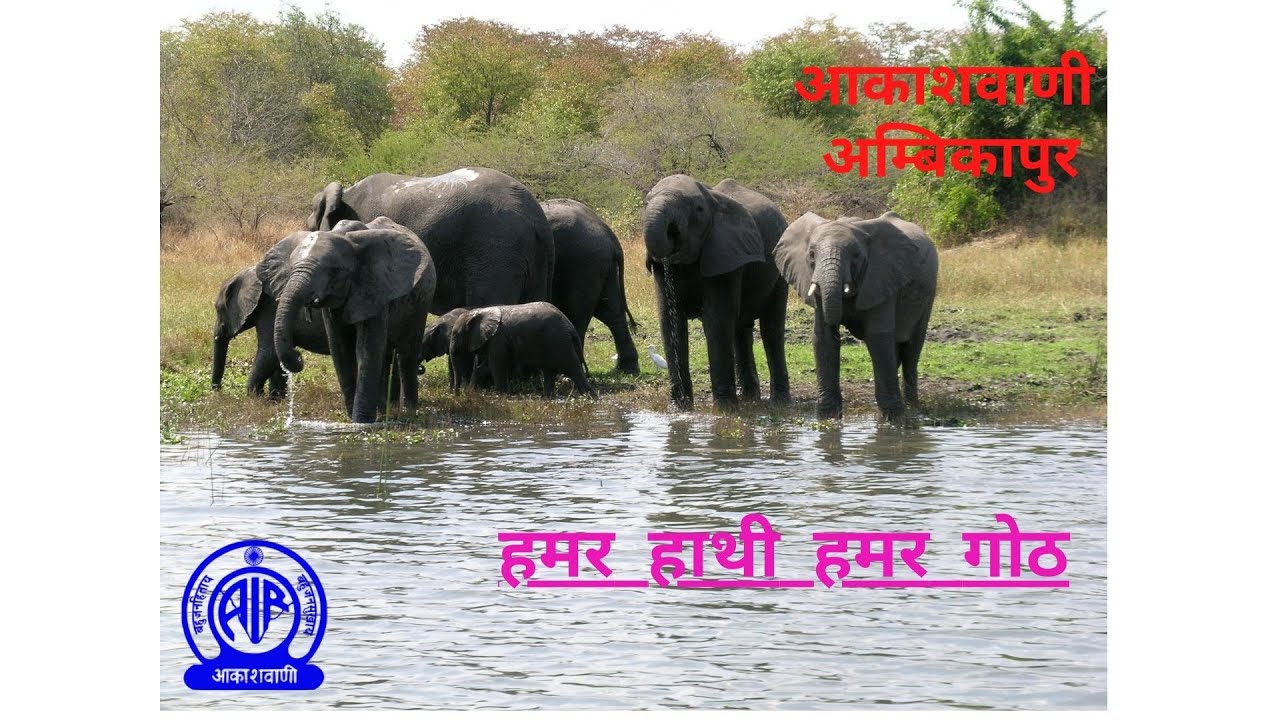 Hamar Hathi Hamar Goth 07-09-2024 . - YouTube