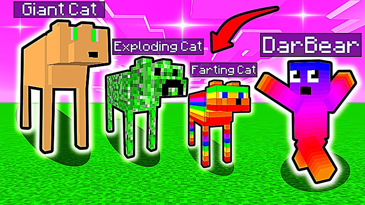 Minecraft, But The Cats Are INSANE - YouTube