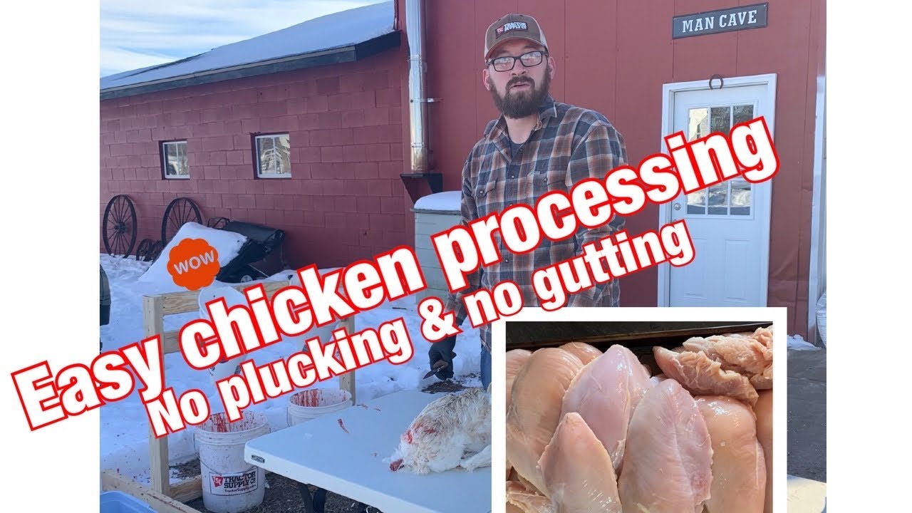 How to process chicken with no plucking or gutting 🙊🐔 - YouTube