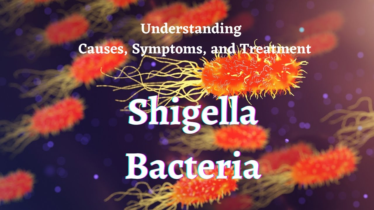 Understanding Shigella Bacteria Causes, Symptoms, and Treatment - YouTube