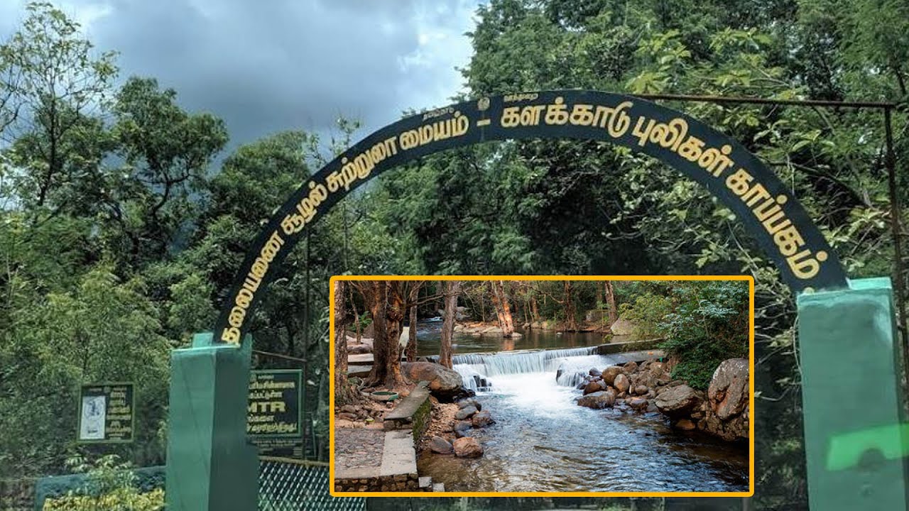 Kalakkad Mundanthurai Tiger Reserve | Thalayanai | Tirunelveli ...