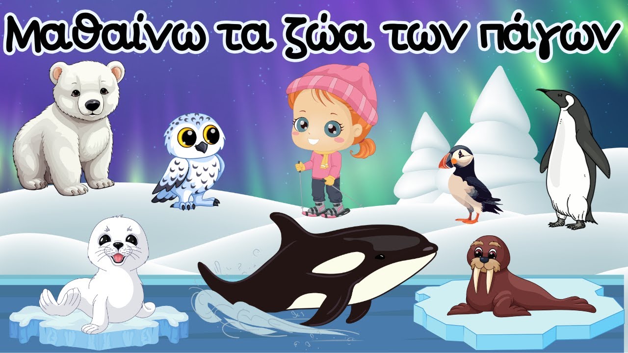 Μαθαίνω τα ζώα των πάγων!!! | Παιδικά Μαγικά Ταξίδια | Εκπαιδευτικό ...