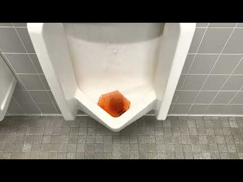 5,635. CCAC Boyce Campus Men’s Restroom - YouTube