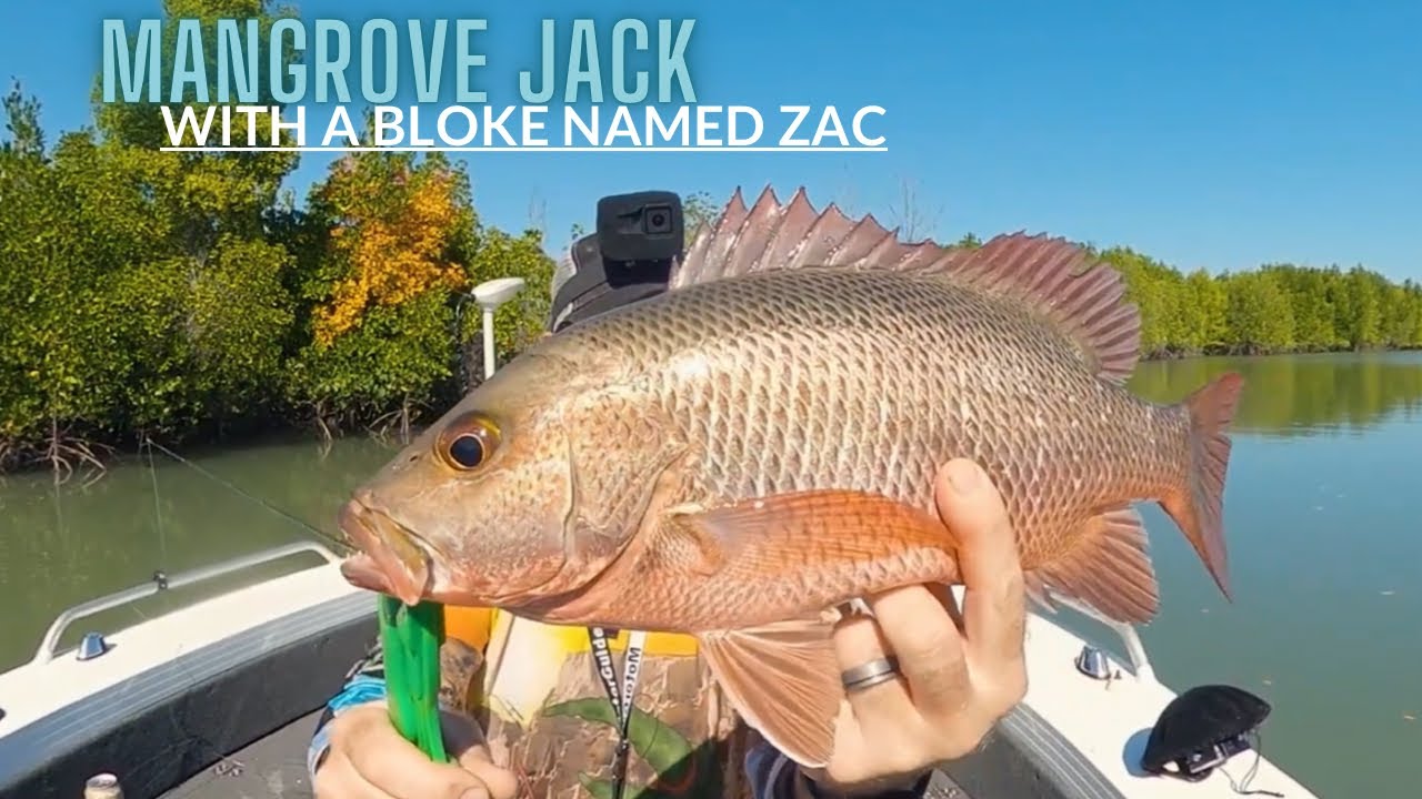 Mangrove Jack with a bloke named Zac - YouTube