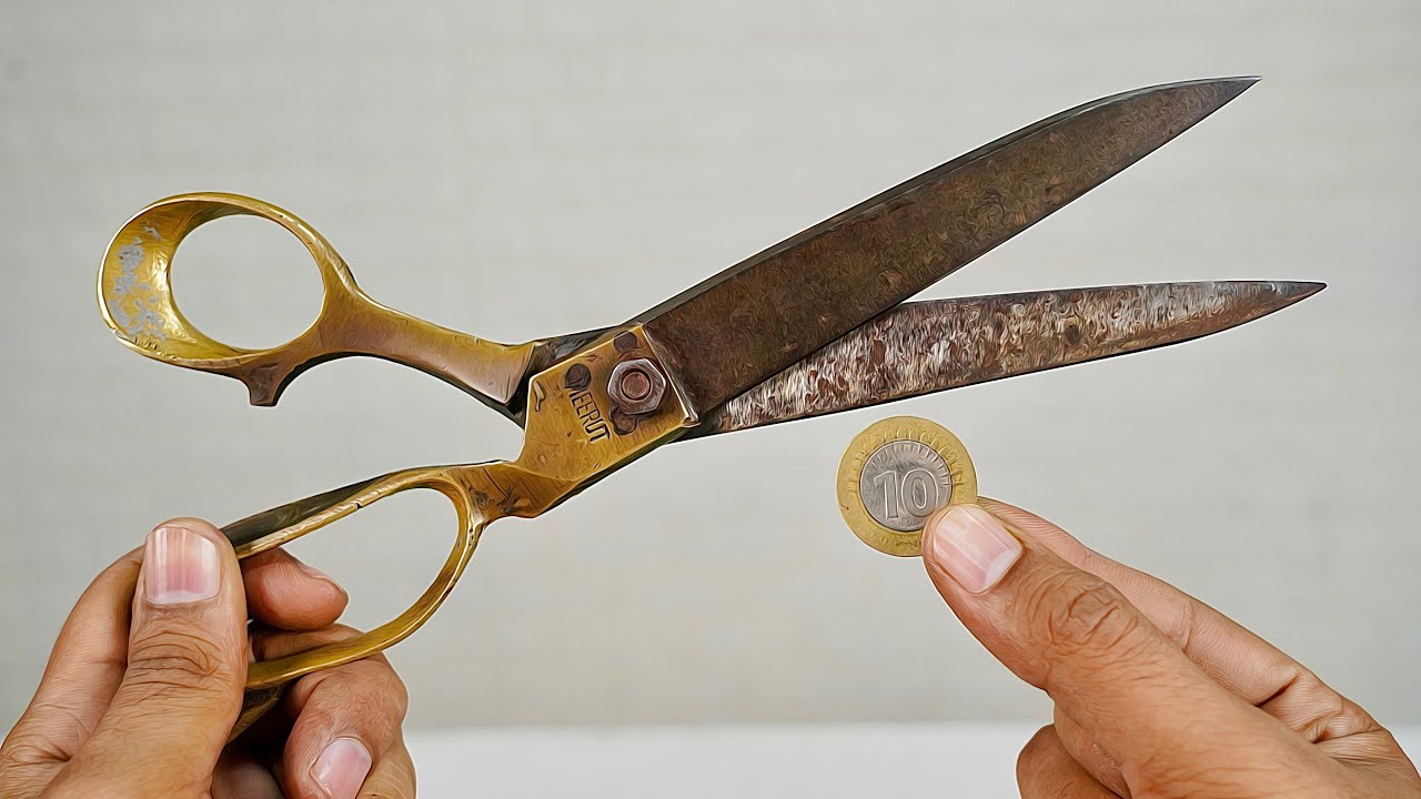 Rusty Scissors SHARP as a RAZOR with Just One Coin. Didn't EXPECT it to ...