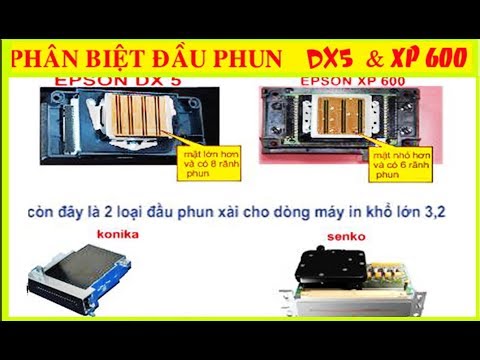 PHÂN BIỆT ĐẦU PHUN EPSON DX5 VÀ XP 600 ,800,900 - YouTube
