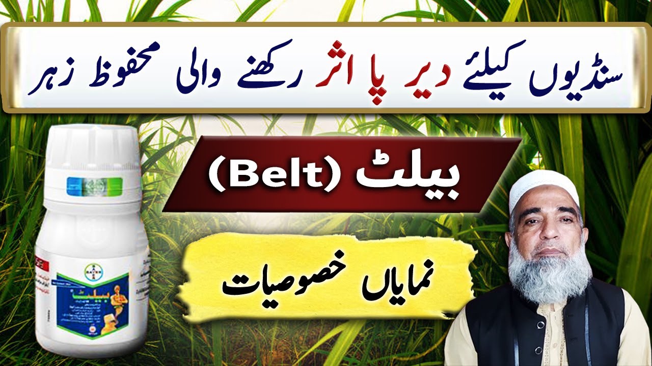 Belt 48 SC, a long short insecticide || Crop Reformer - YouTube