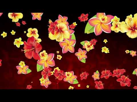 Falling flowers loop Background