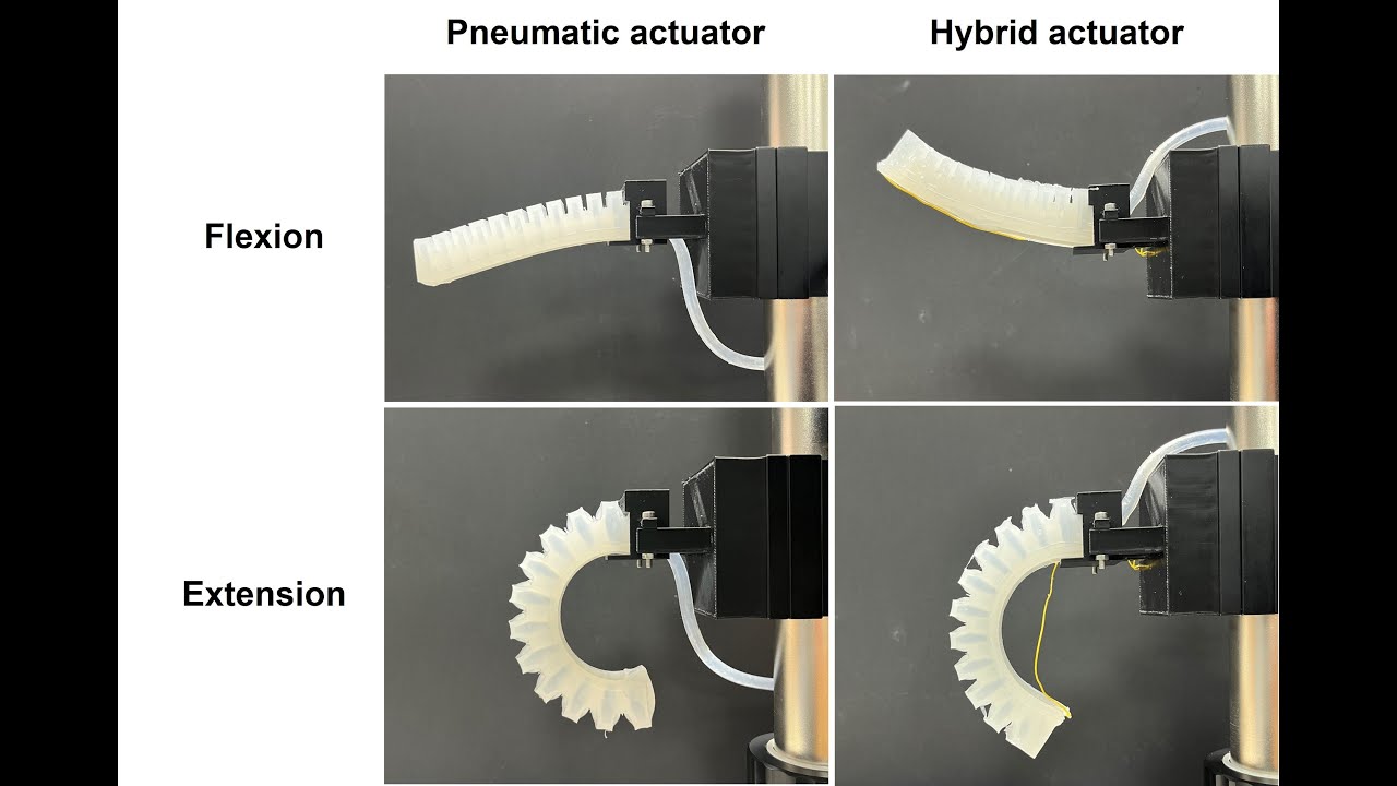 SMA-Pneumatic Hybrid Actuator for Hand Rehabilitation - YouTube