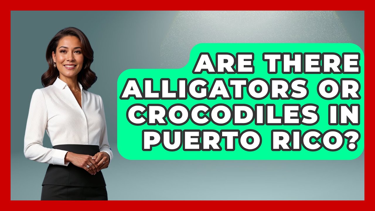 Are There Alligators Or Crocodiles In Puerto Rico? - Central America ...
