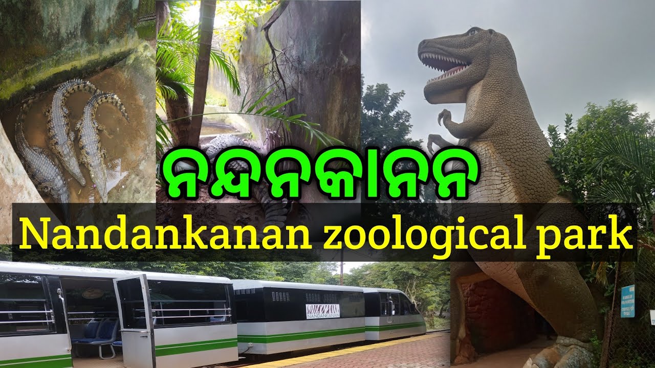 Nandankanan zoological park Bhubaneswar Odisha | Nandankanan tour guide ...