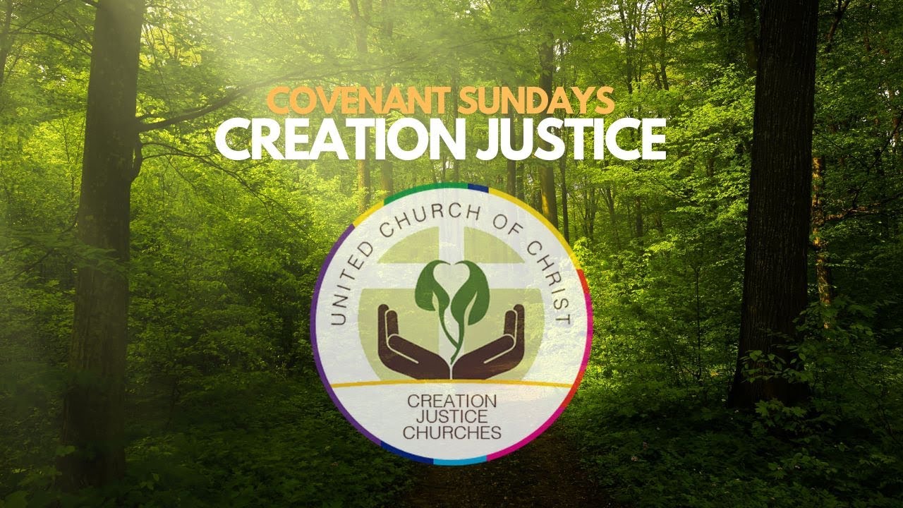 Worship for August 4: Covenant Sundays- Creation Justice - YouTube