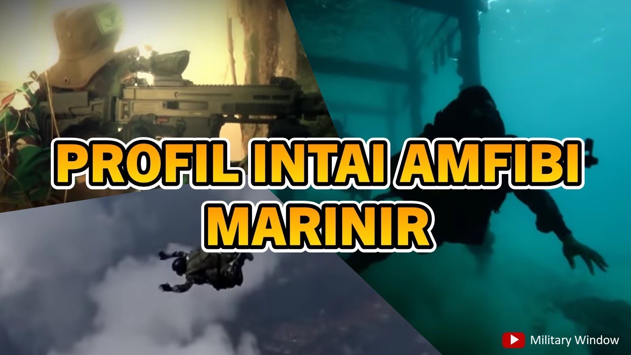 PROFIL INTAI AMFIBI (TAIFIB) KORPS MARINIR - YouTube
