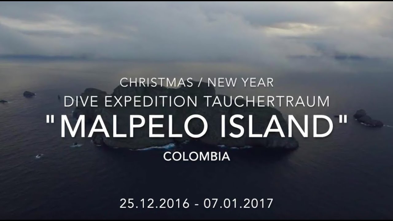 "Malpelo Island" Dive Expedition 25.12.- 07. 01. 2017 - YouTube