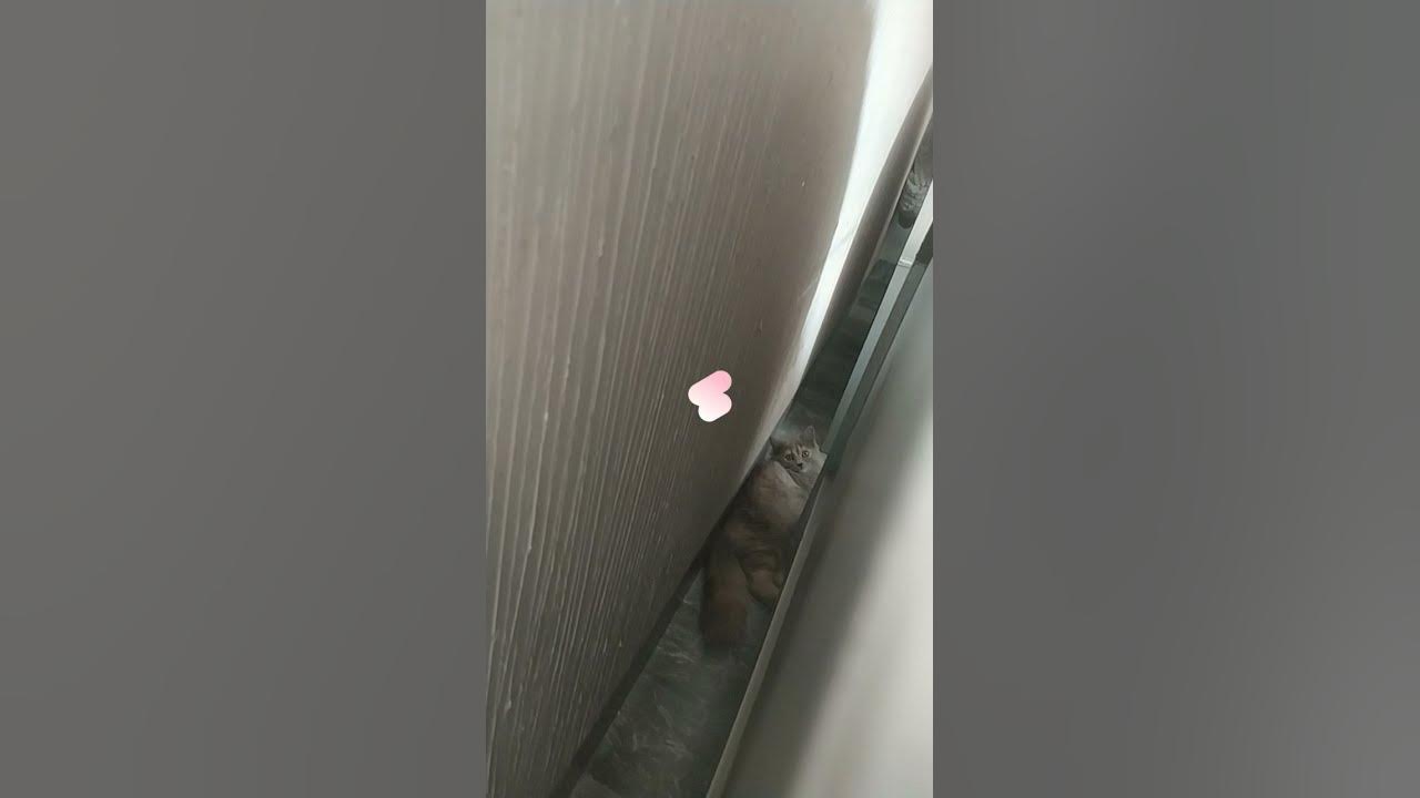 Trying YouTube filters so you don't have to ( part 2) ( AI statue ) - YouTube