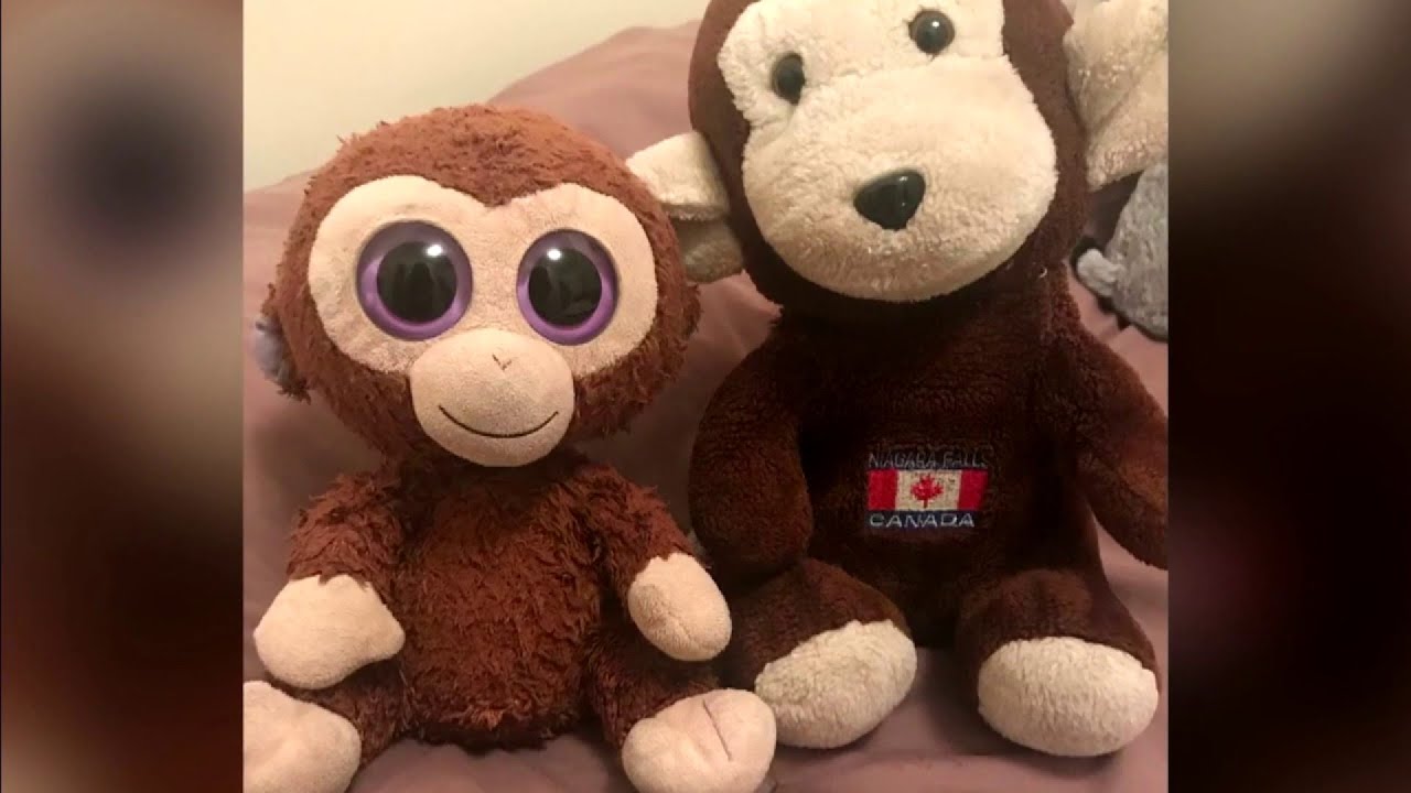 Man offers $5K reward for person who recovers monkey stuffed animals ...