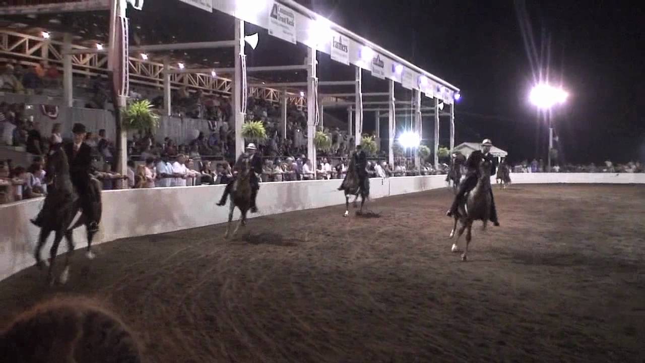 Five Gaited Championship Mercer County Fair Horse Show 2010 HD - YouTube