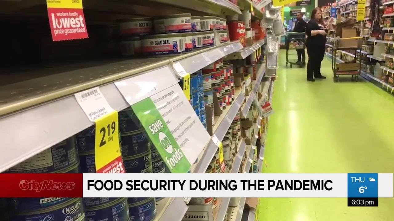 What to do about food shortages, possible US supply shutdown? - YouTube