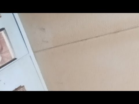 Throw Trash Out Thursday - YouTube
