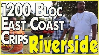 103 East Coast Crip Gang