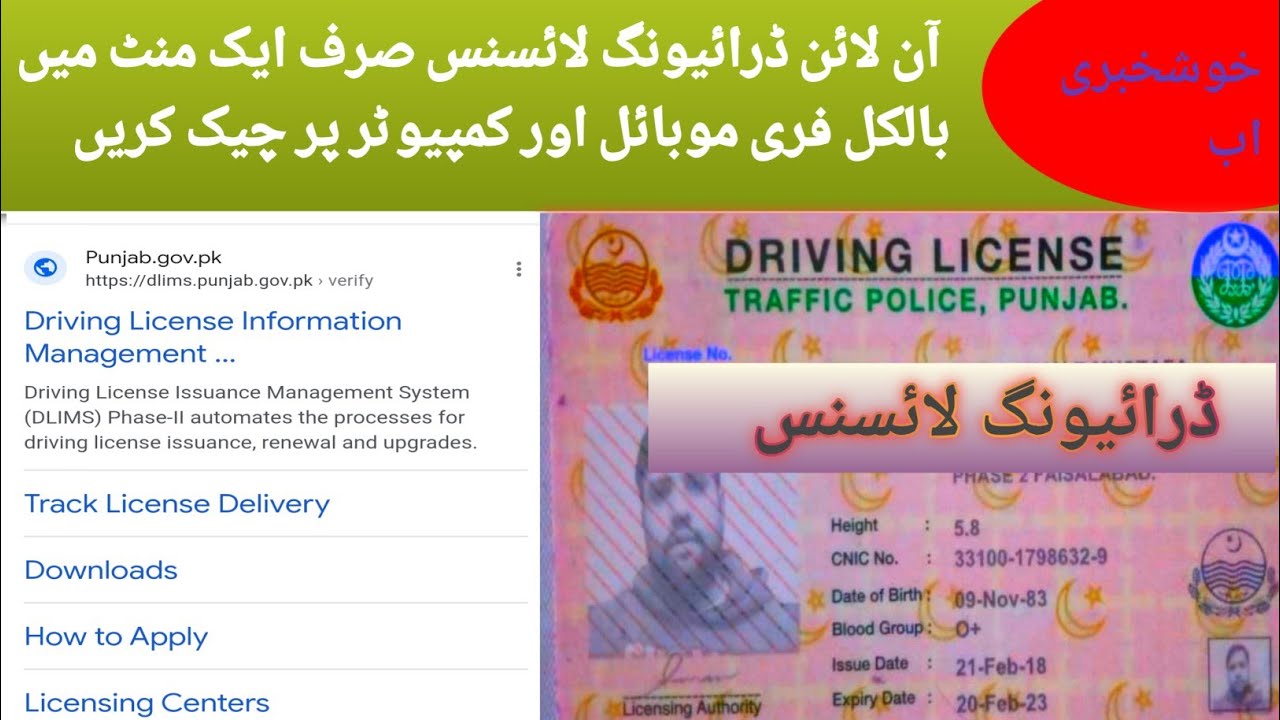 DLIMS - How To Check Driving Licence Verification Online in Pakistan ...