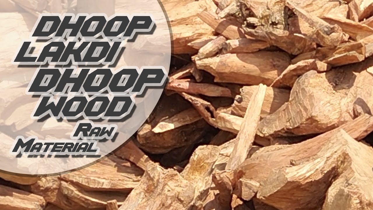 dhoop wood | dhoop lakdi | dhoop wood tree | dhoop lakdi price | dhoop ...