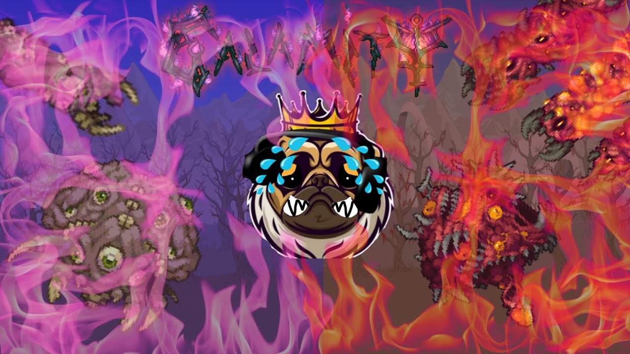 This is wild! (help)-Terraria Calamity Mod [S1]-Episode 5 - YouTube