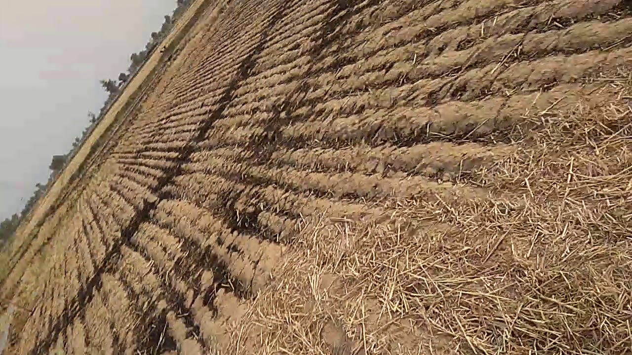Ddddddd - YouTube