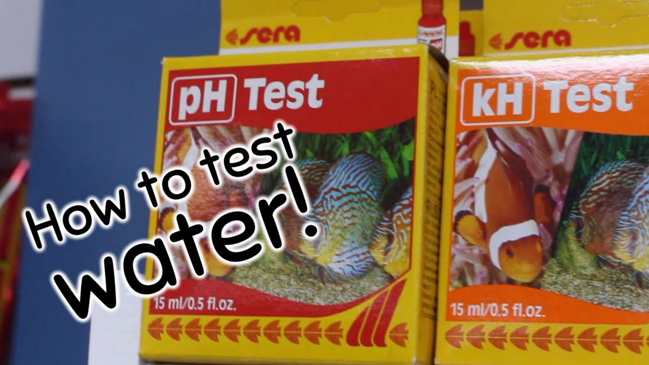 How to Test Your Water! (pH, Ammonia, Nitrite, Nitrate) - YouTube