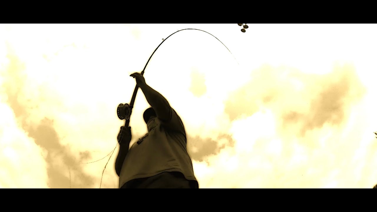 Stance -Hands grip -Tracking to Fly casting Overhead Two Handed fly ...