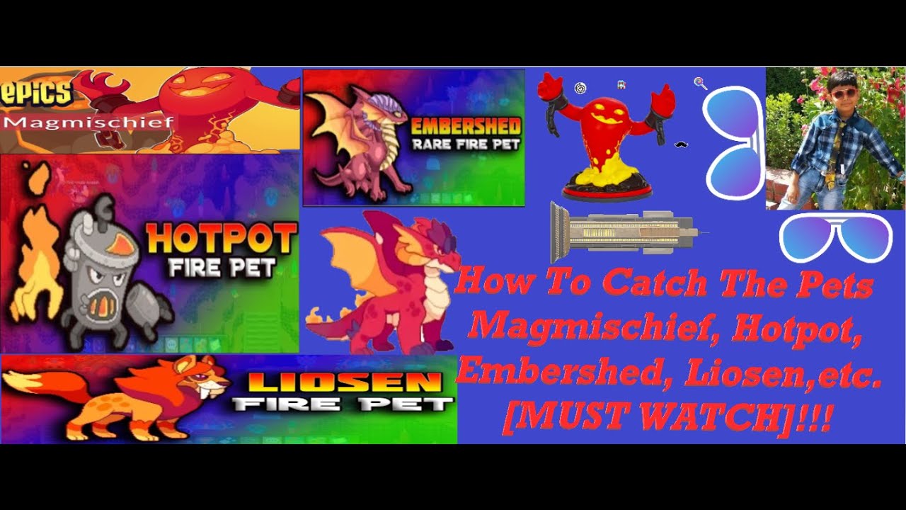 How to catch the Pets called Magmischief, Hotpot, Embershed and Liosen ...