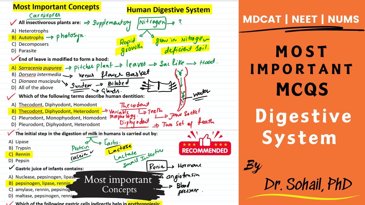 Most Important MCQS Discussion on Human Digestive System | MDCAT | NEET ...