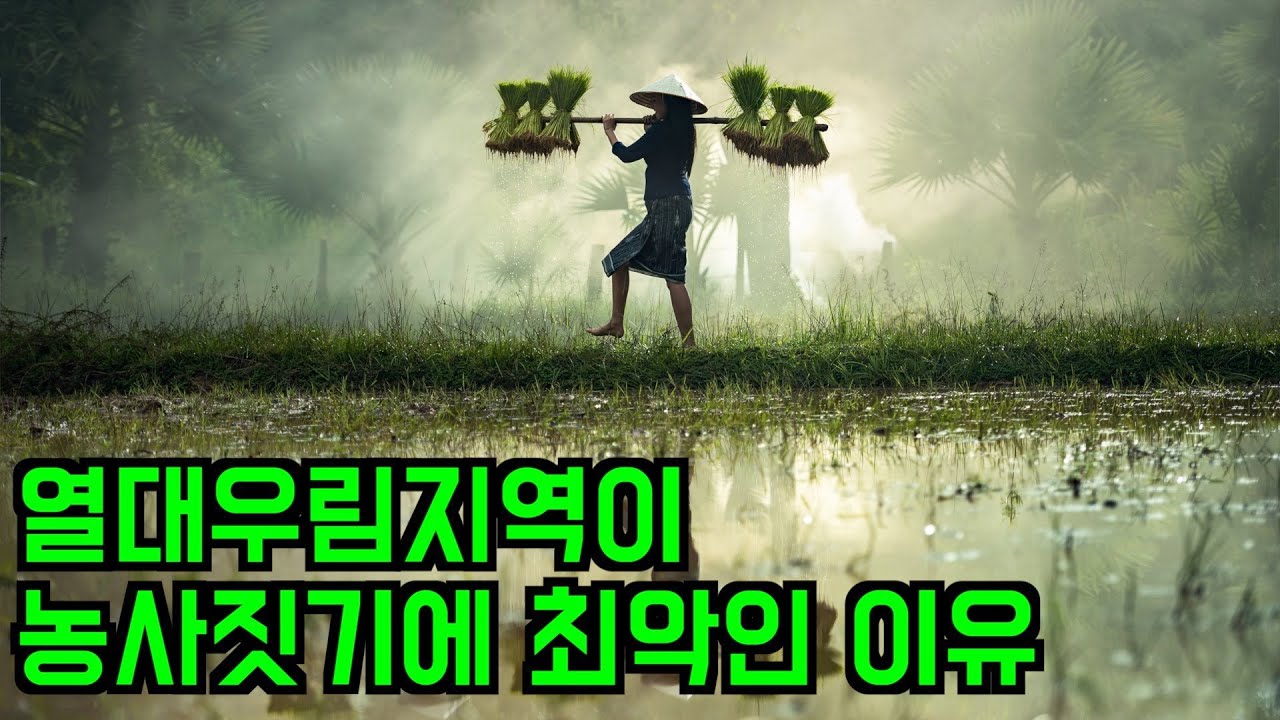 아마존같은 열대우림이 농사짓기에 최악의 환경인 이유 Youtube