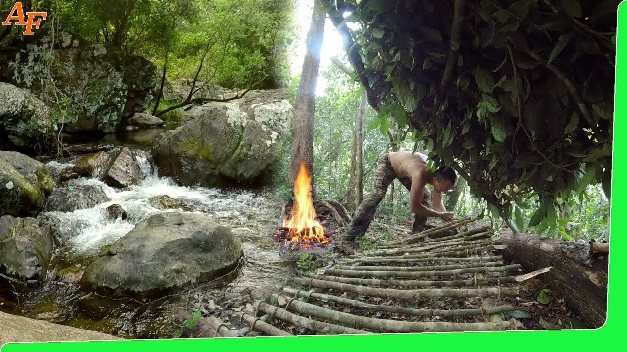 Solo Bushcraft Survival Primitive Shelter in Jungle no rope Catch and ...