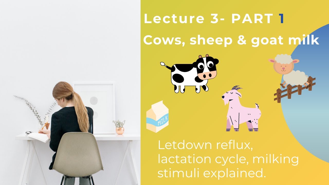 Cow, goat and sheep milk production| letdown reflux | heifer ...