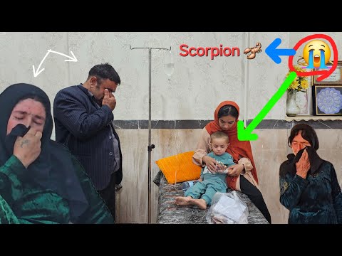 🥹🎁 When a viewer thought about family | But Tajmah returned with teary eyes 💔