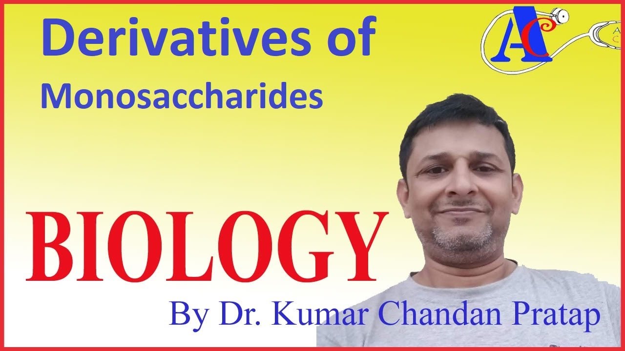 Biomolecules: Derivatives of Monosaccharides - YouTube