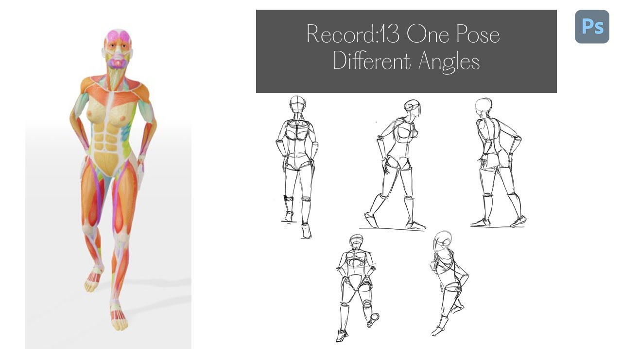 🖊Record 13 | One Pose Different Angles | Daily Art Studies [PHOTOSHOP ...
