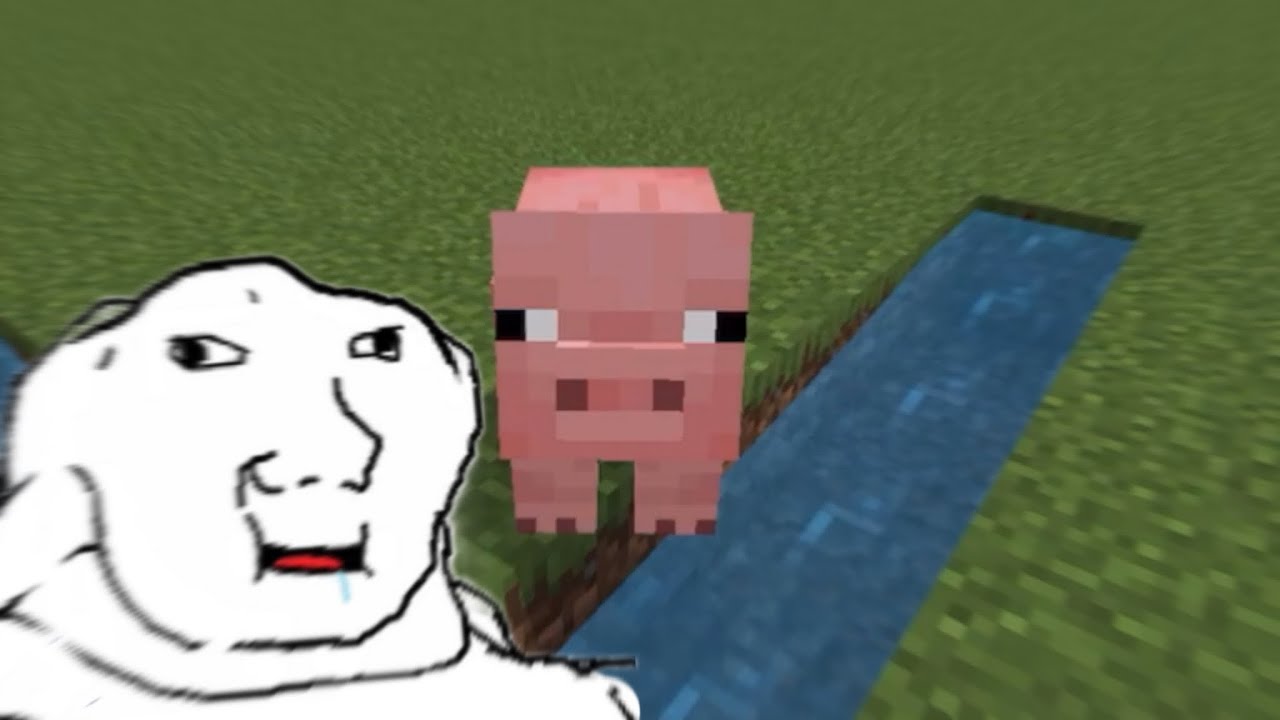 The Minecraft pig spin experiment… - YouTube
