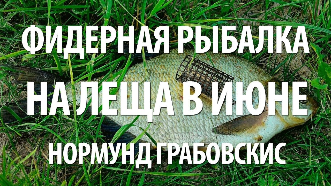 РЫБА ЛЕЩ на ФИДЕР ЛЕТОМ. ФИДЕРНАЯ ЛЕТНЯЯ РЫБАЛКА В ИЮНЕ С НОРМУНДОМ ...