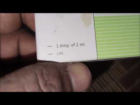 Portrait Video Nanny Canon | Alan Walker x K-391 x Julie Bergan | Ignite | Live Performance VG Lista