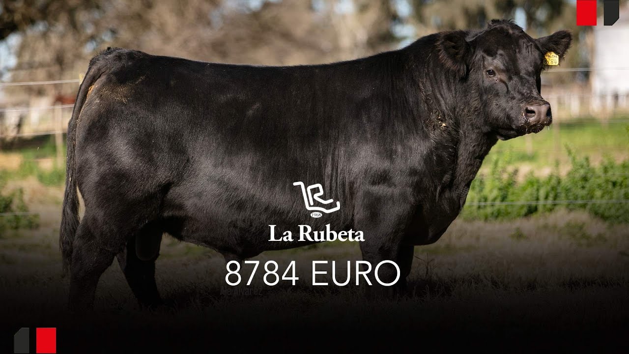 Remate La Rubeta 2024, Rp 8784 - YouTube