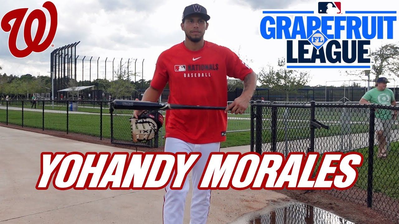 Yohandy Morales Batting Practice at Washington Nationals Spring ...