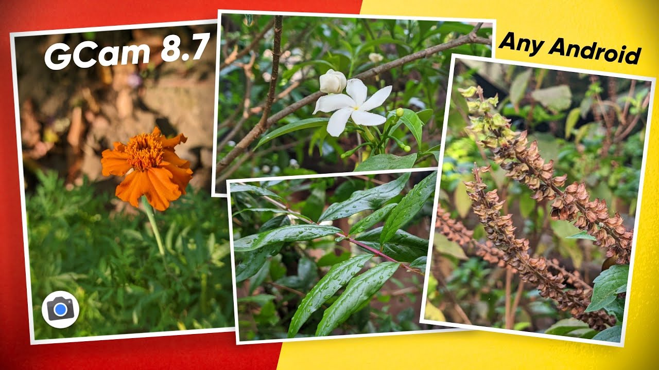 Google Camera 8.7 + Photo Samples | Download GCam 8.7 Mod | New ...