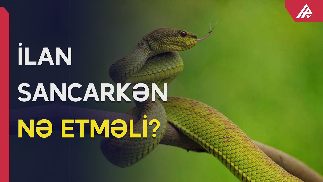 İlan sancmaları niyə artıb? – APA TV - YouTube