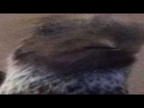 send this to your crush without context