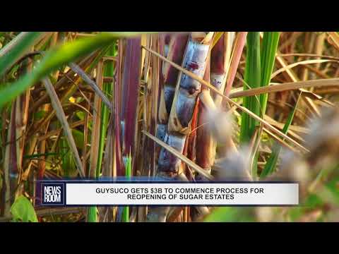 GUYSUCO GETS $3B TO COMMENCE PROCESS FOR REOPENING OF SUGAR ESTATES ...