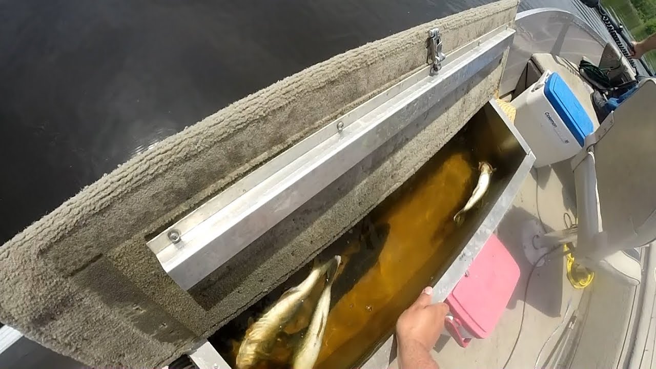 puckaway 5 24 18 - YouTube