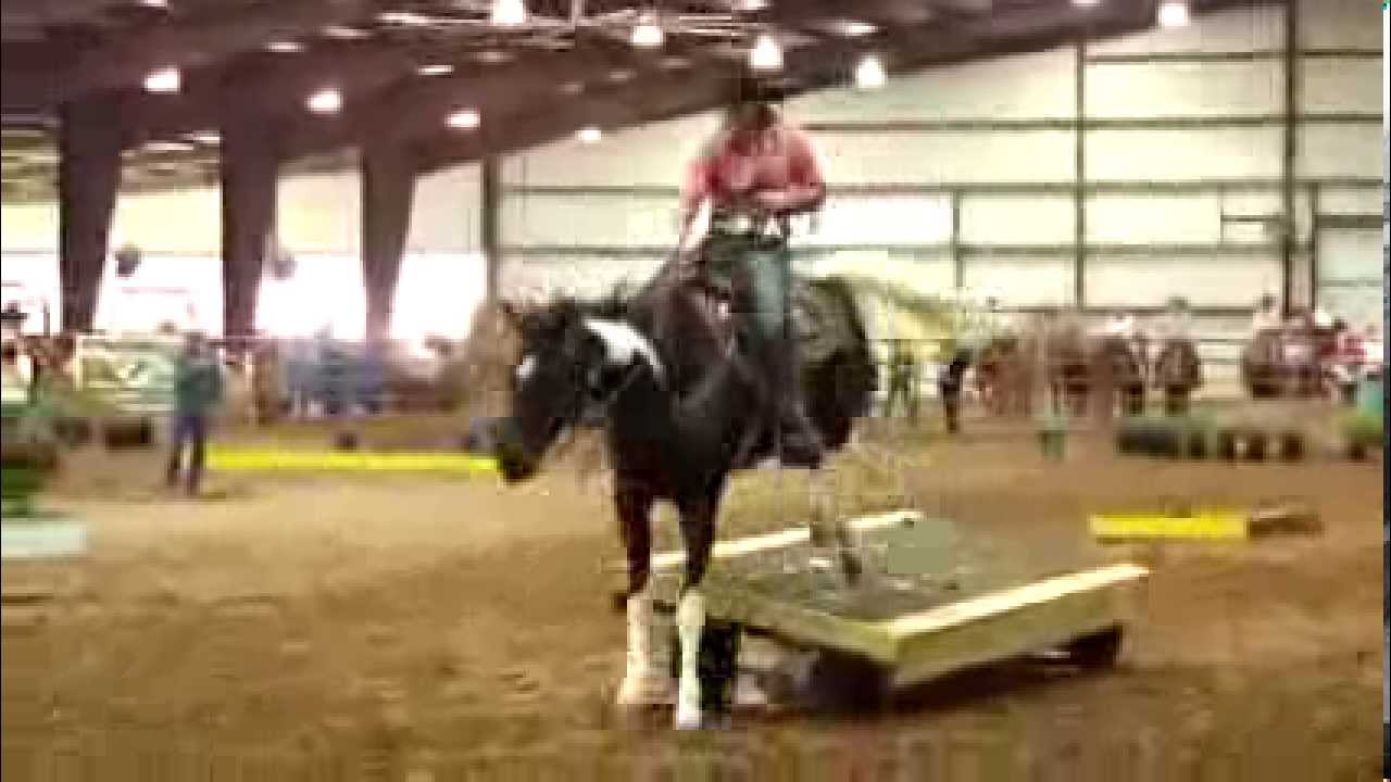 EXCA World Championship - YouTube