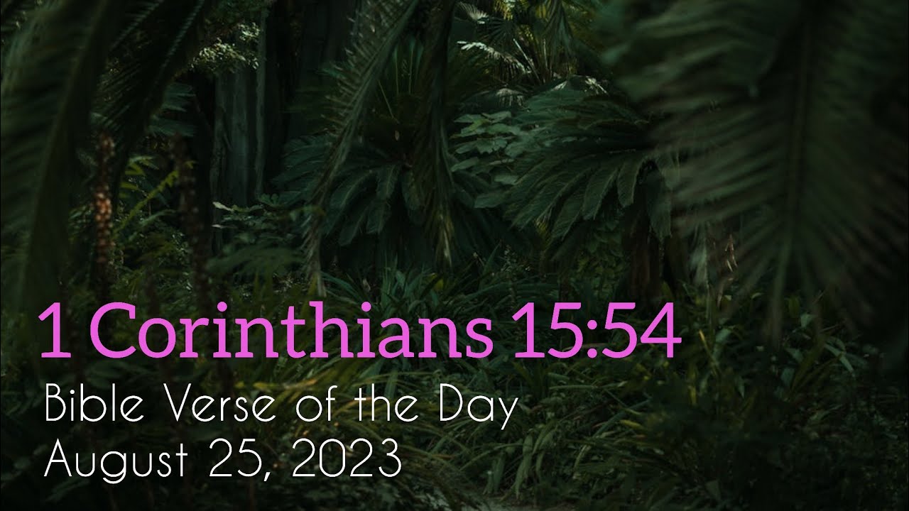BIBLE VERSE OF THE DAY - August 25, 2023 | Your Daily Dose of God's ...